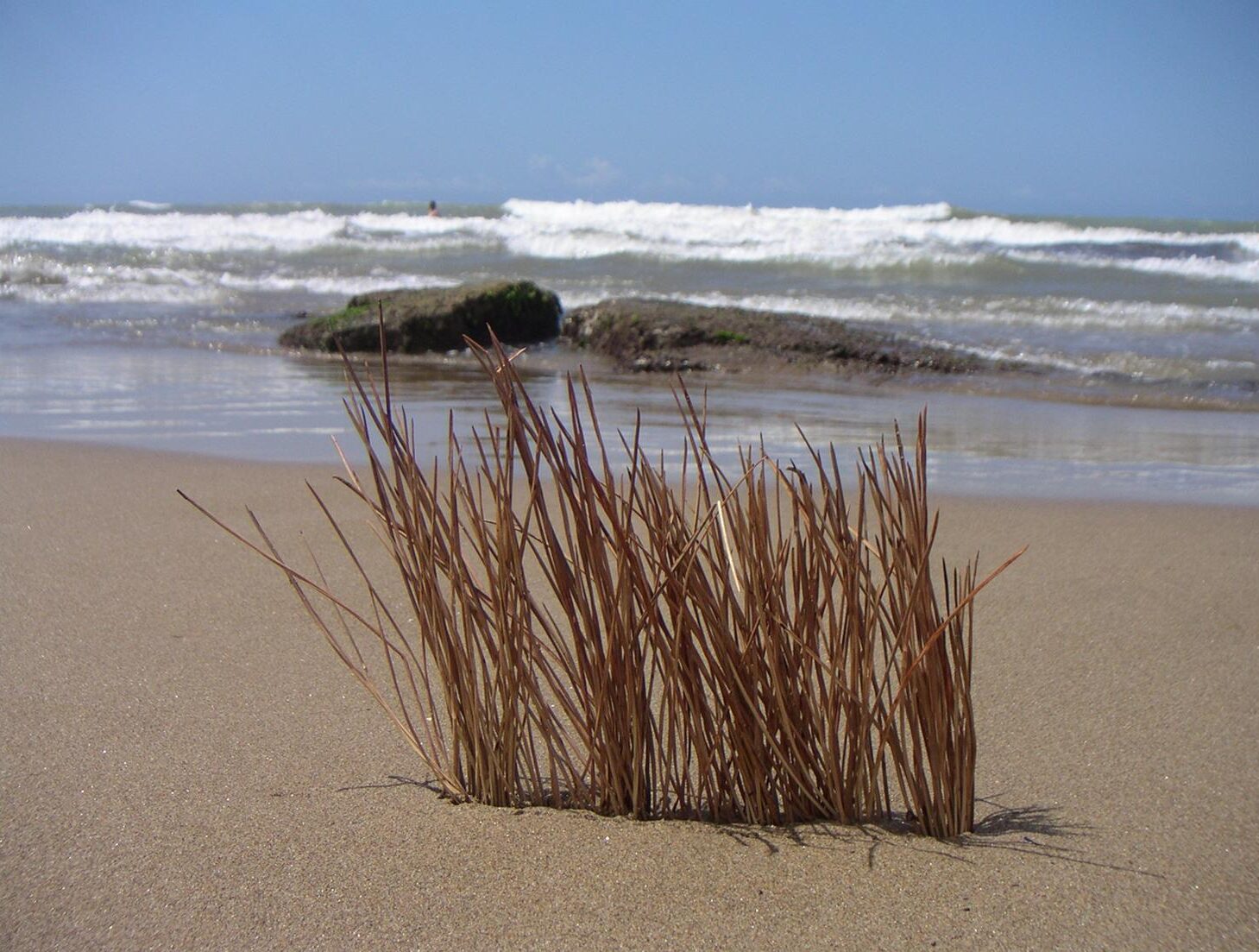 La mostra fotografica di Simona Gallina sarà visitabile presso la ...